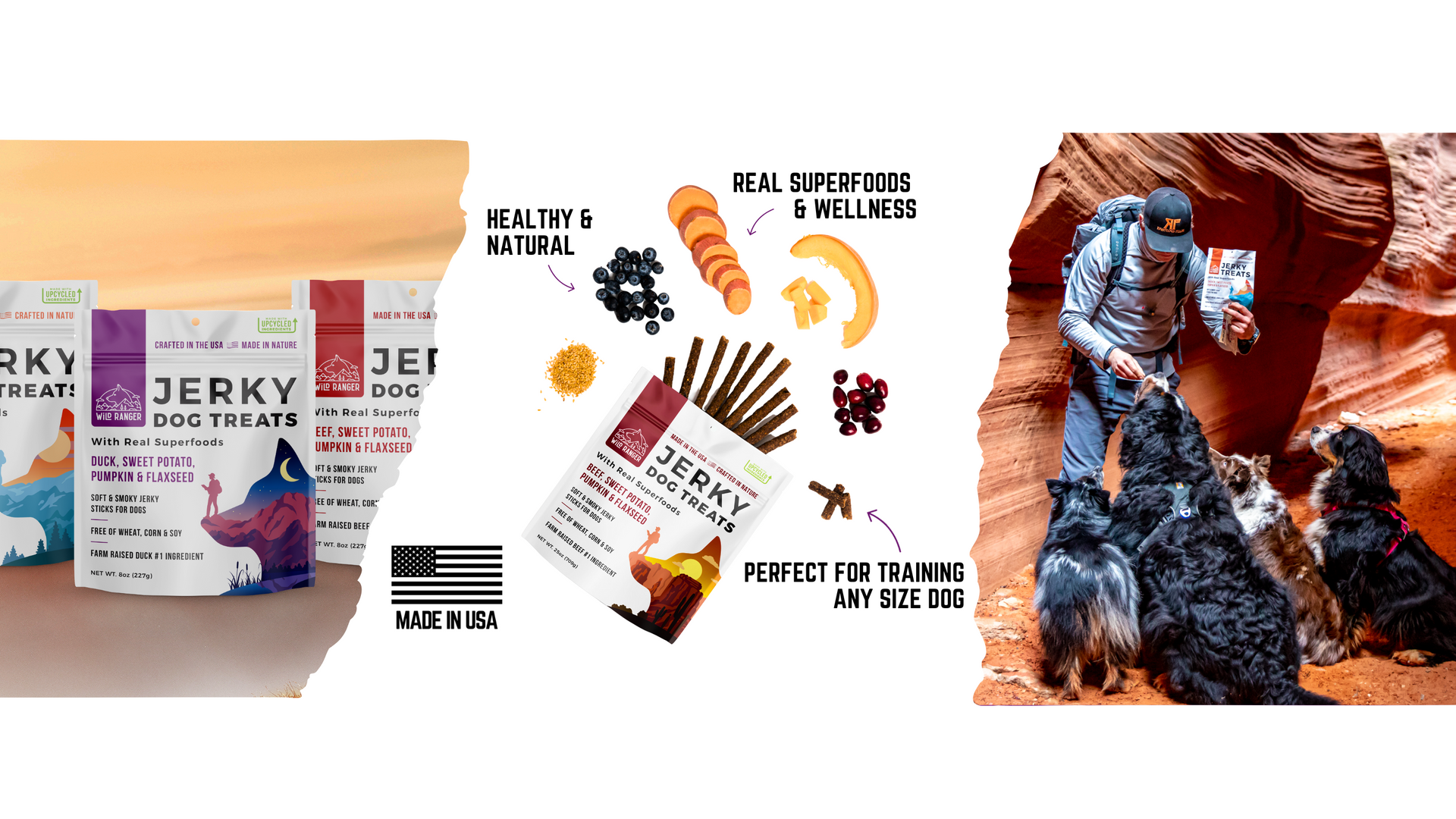 Wild Ranger Pet – RTZN Brand Strategy